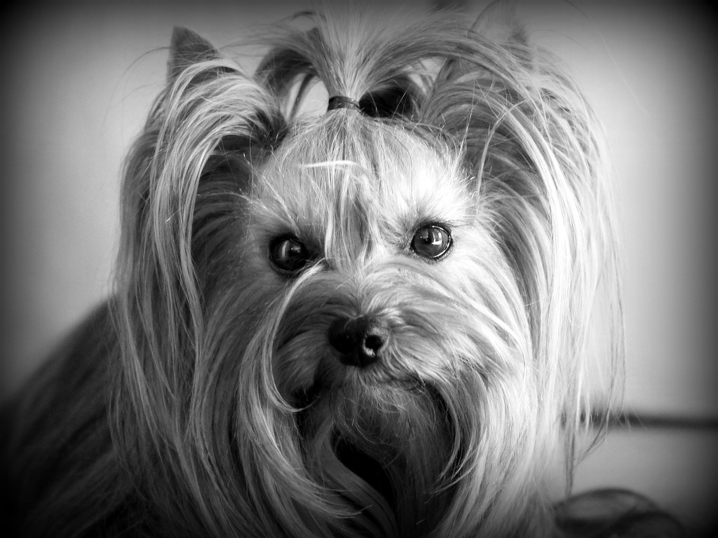 The Matrix Revelations - Jed McKenna – Trilogy of Trilogies